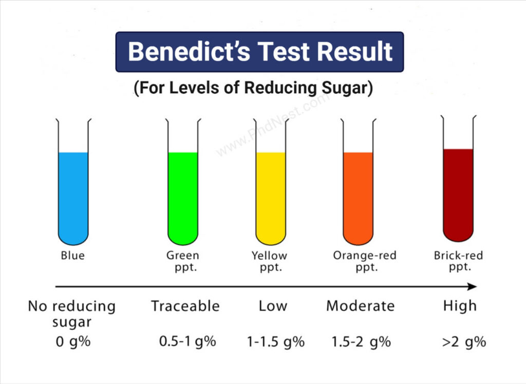 Benedict’s Test: Objectives, Principle, Procedure, Results, Limitations ...